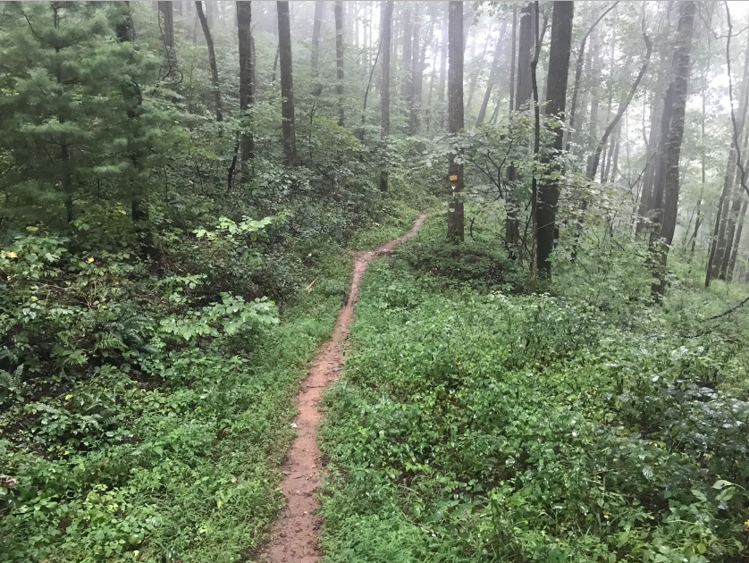 The Trans North Georgia (TNGA) – BADIG – Endurance Training: Swim, Bike ...