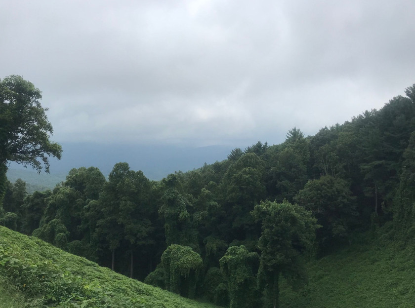 The Trans North Georgia (TNGA) – BADIG – Endurance Training: Swim, Bike ...